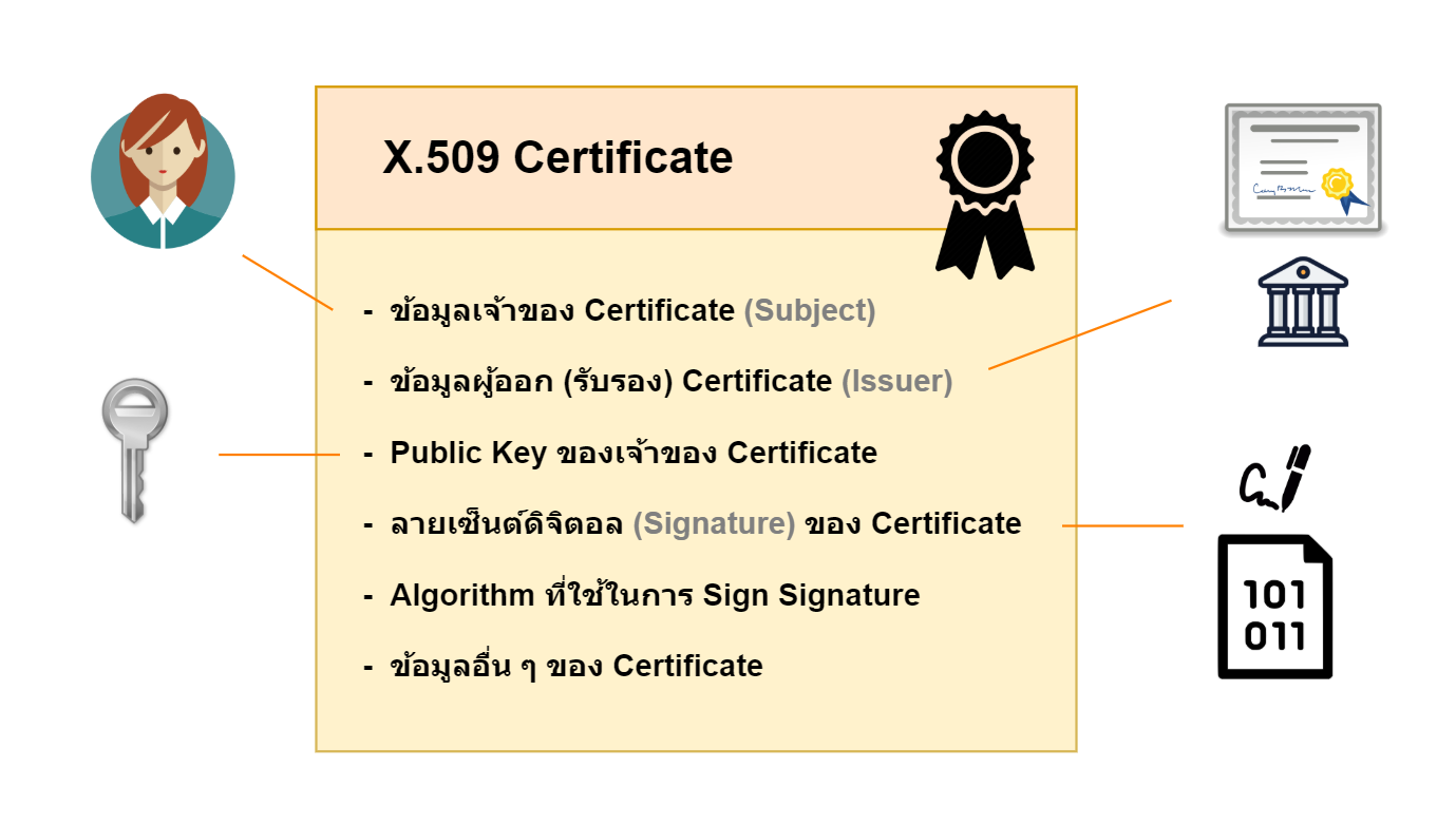 ทำความรู้จักกับ X 509 Certificate พื้นฐานสำหรับการทำ และ Security